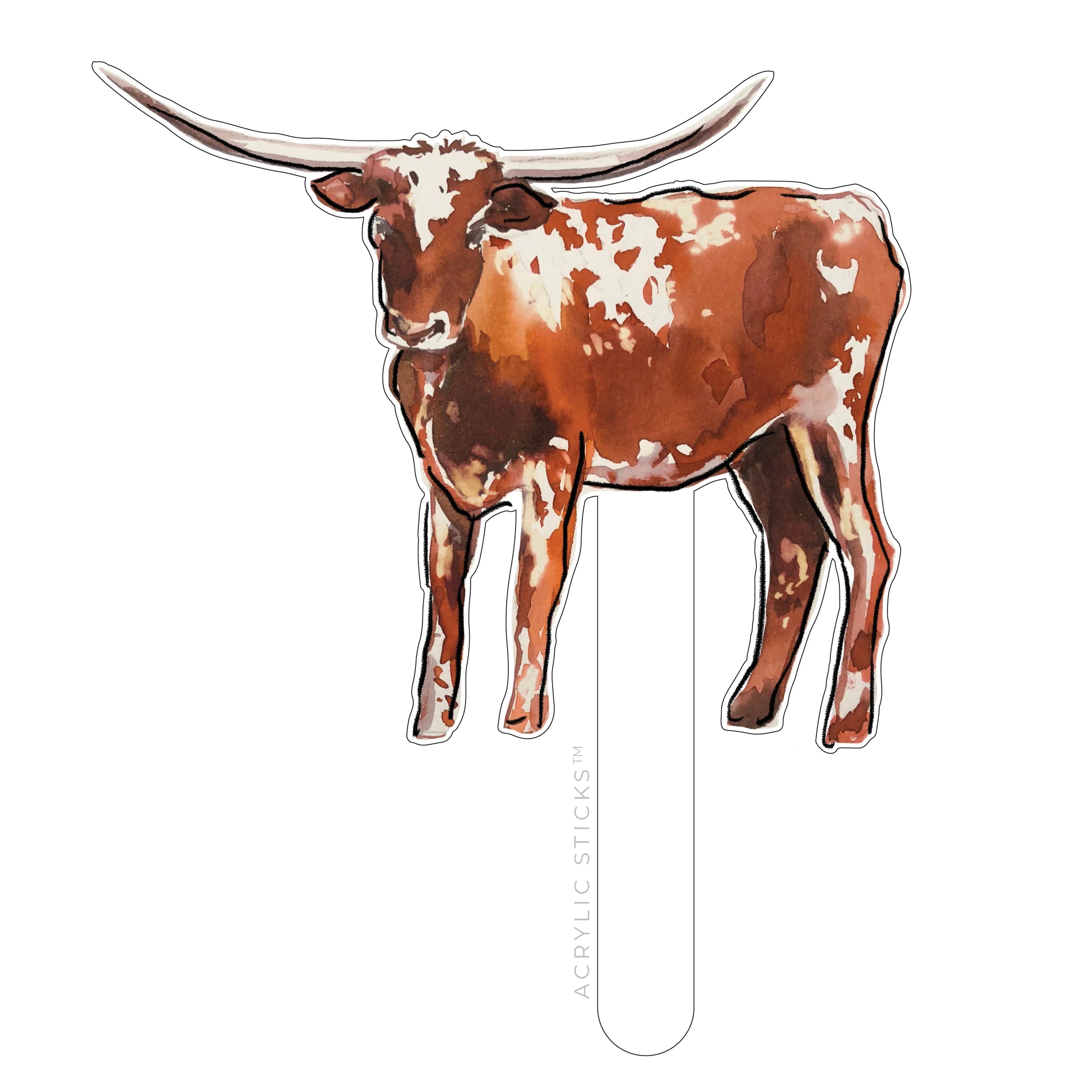 Longhorn Acrylic Cake Topper – Davis Street Mercantile